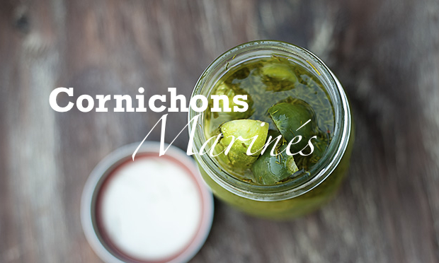 Cornichons à l’aneth – Recette de base